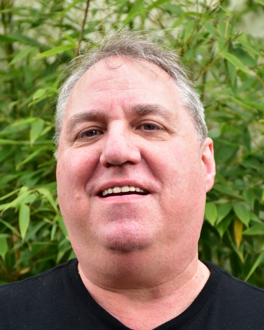 David Broyles - Harlequin